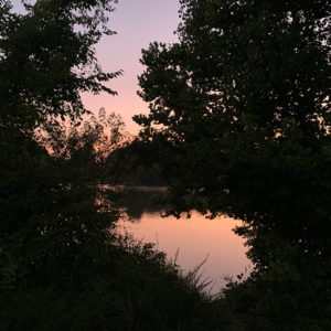 Spotlight on Percy Priest Lake – LakeHub
