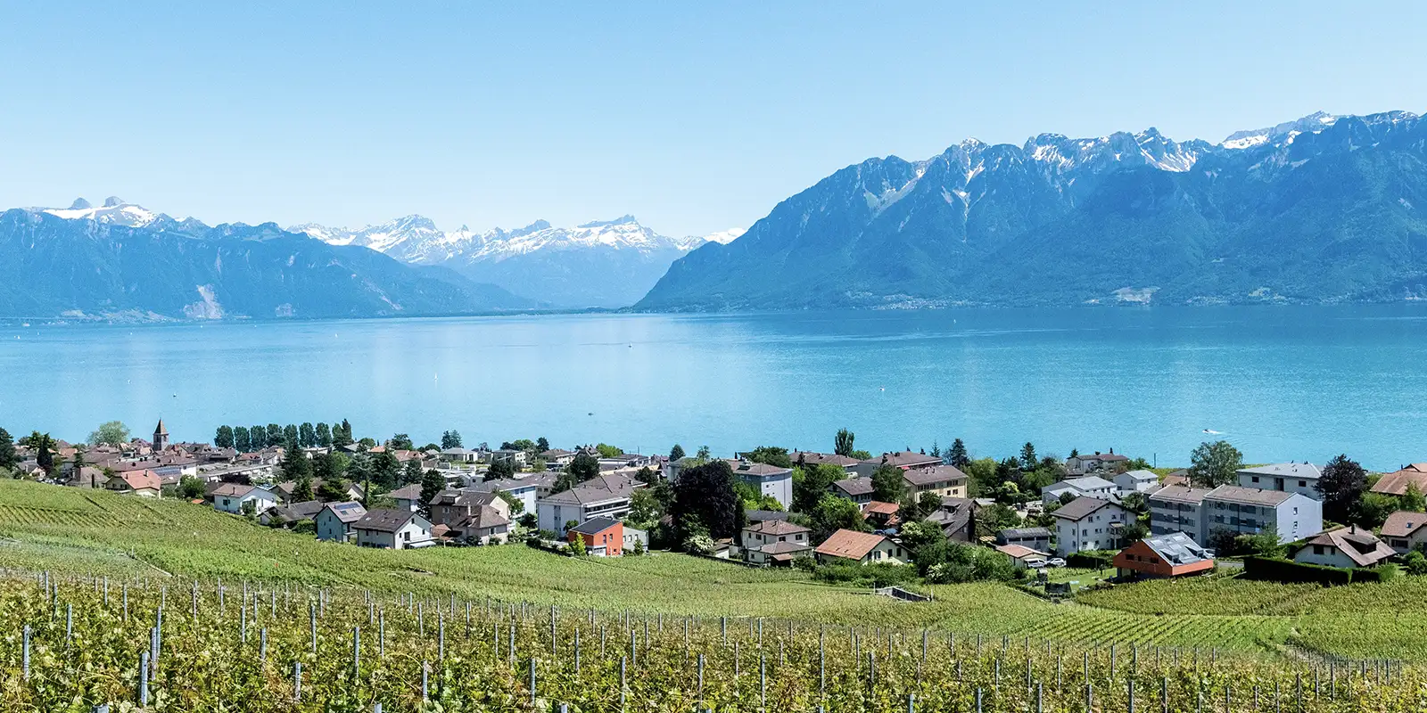 The Cross-Border Magic of Lake Geneva, Switzerland – LakeHub